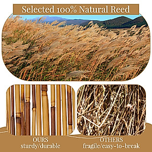 2 Pcs Natural Reed Bamboo Fencing Roll, Bamboo Privacy Screen 3.3 ft x 13.3 ft and 200 Pcs Nylon Black Cable Ties Cord for Garden Balcony Window Indoor Outdoor(Dark Brown)