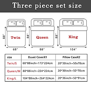 Reateforin 100 Dollar Bill Money Duvet Cover Set, One Hundred Dollar Bills of United States Federal Reserve The Ben Franklin Portrait, Decorative 3 Piece Bedding Set with 2 Pillowcovers,Queen Size