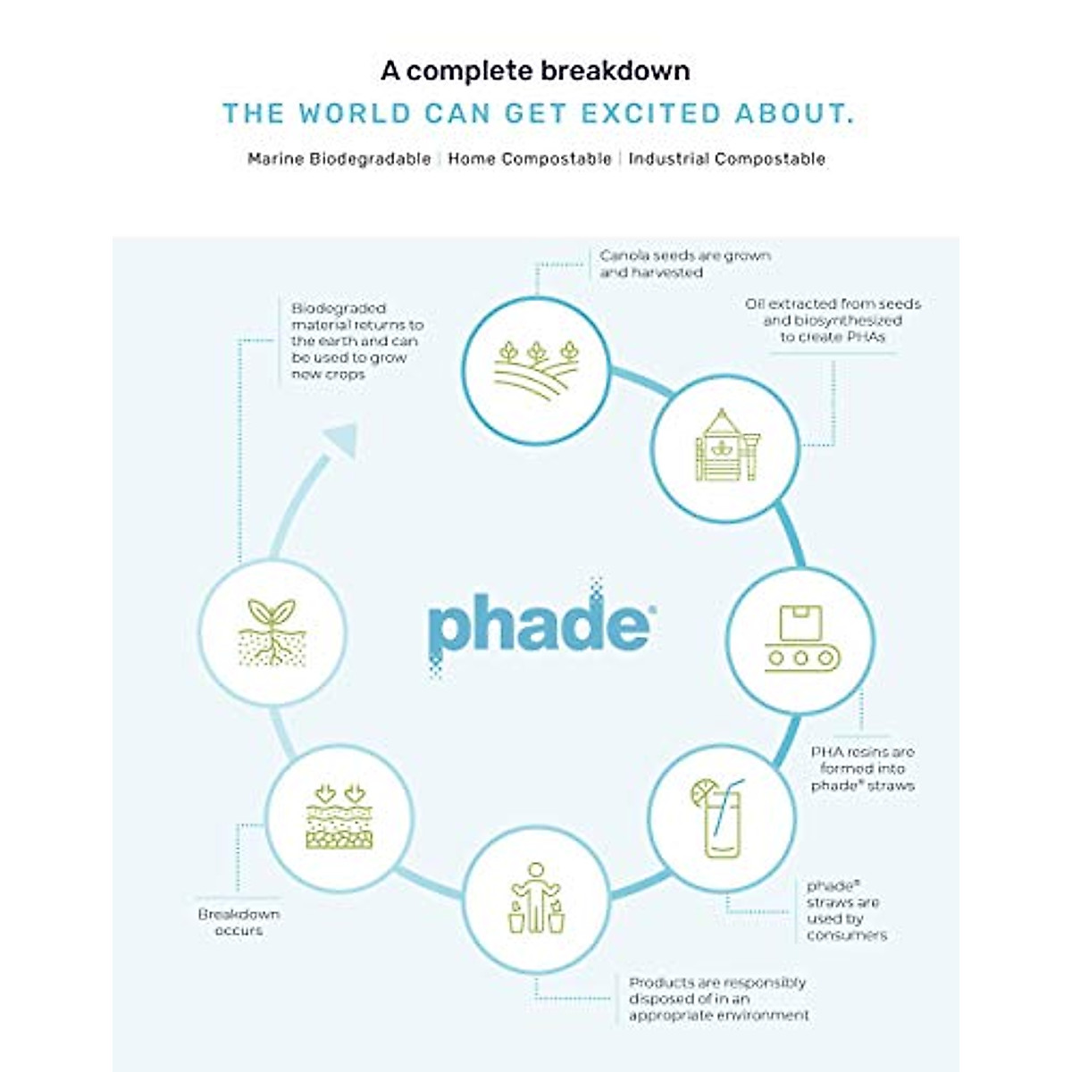 phade Eco-Friendly 10.25" Giant Drinking Straws 250 Count - Sustainable Marine Biodegradable Compostable Individually Wrapped, 1 Pack