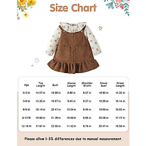 YENTAKE Newborn Baby Girl Dresses Clothes Long Sleeve Ruffle Romper Infant Suspender Skirt Set Baby Overall Fall Outfits (Brown, 12-18M)