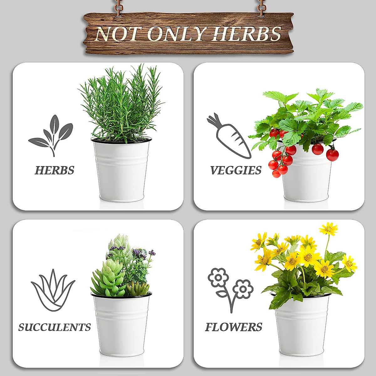 DAYYET Farmhouse Herb Garden Planter Indoor Window Planter Set with Tray, White Windowsill Herb Planter Pots with Drainage for Outdoor or Indoor Planters, Set of 3