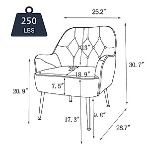 RIDFY Modern Mid Century Chair,Velvet Sherpa Armchair,Accent Chair with Metal Legs,Upholstered Single Sofa Side Chair for Living Room,Bedroom,Office,Teens,Women,Girls,Easy Assembly (Dark Gray)