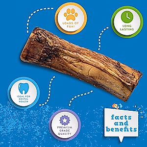 Jack&Pup Dog Bones for Aggressive Chewers (3 Pack) Premium Grade Roasted Marrow Bones for Dogs – 6 inch Dog Bones for Large Dog - All Natural Gourmet Treat Chews – Long Lasting Chew (3 Piece Pack)