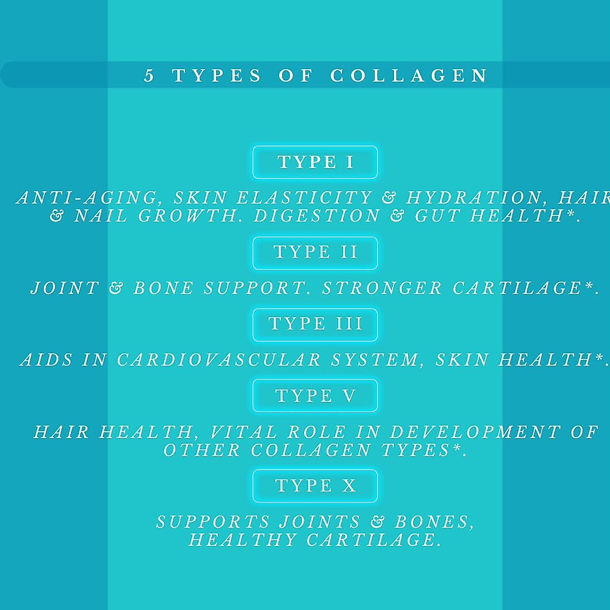 Multi Collagen Pills Plus + 180 Capsules (Types I, II, III, V & X) + Absorption Enhancer (3 Months Supply) - Non-GMO, Collagen Supplements to Support Hair, Skin, Nails, Joints, & Gut Health