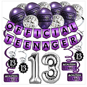 Funny Official Teenager 13th Birthday Party Pack - Purple 13th Birthday Party Supplies, Decorations and Favors
