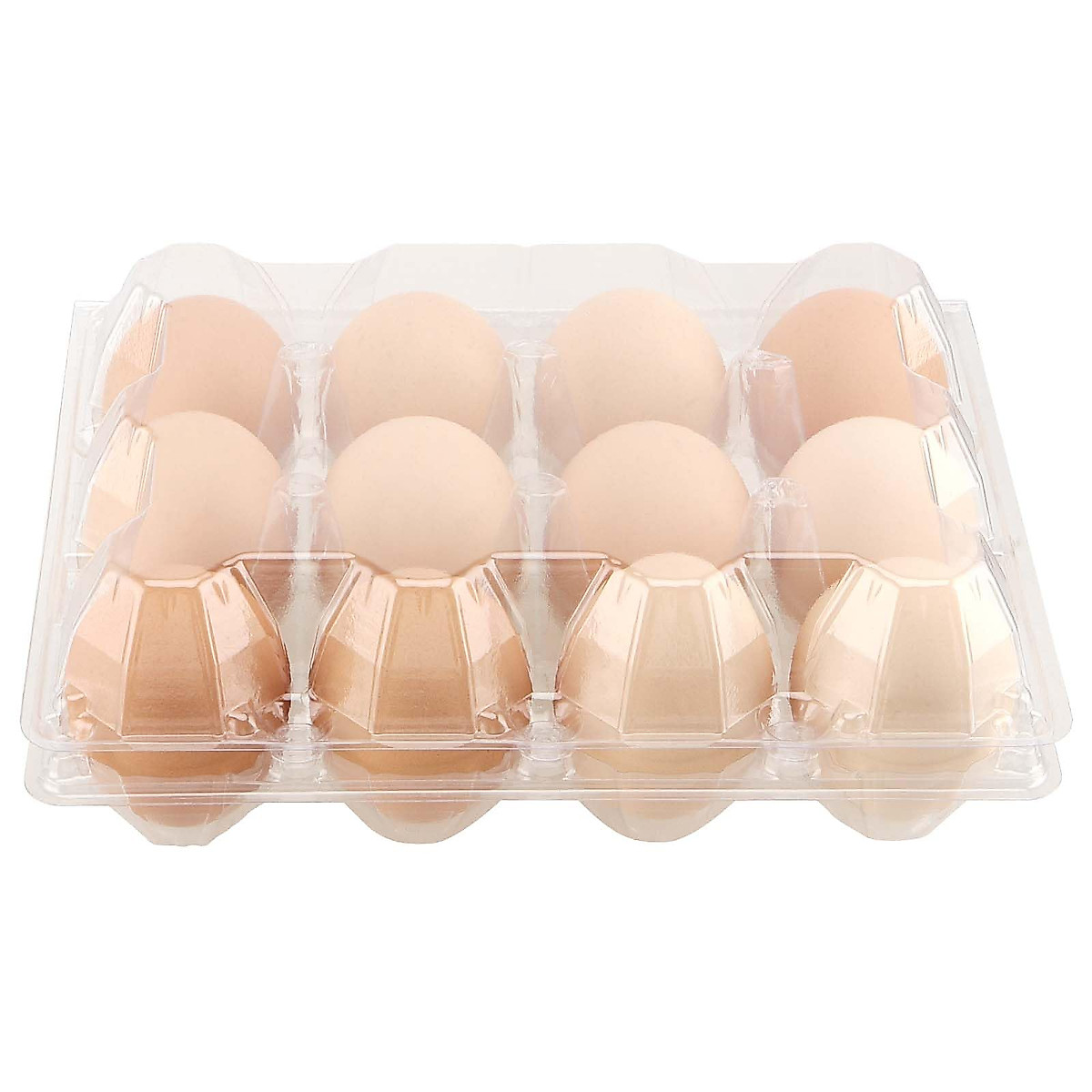 JAPCHET 100 Pack Plastic Egg Cartons, Clear 12 Egg Cartons Dozen Plastic Egg Carton Bulk for Kitchen, Fridge, Market and Farms