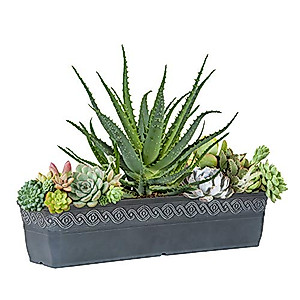 Classic Home and Garden 9418D-515 18" Corinthian Trough planter, Storm