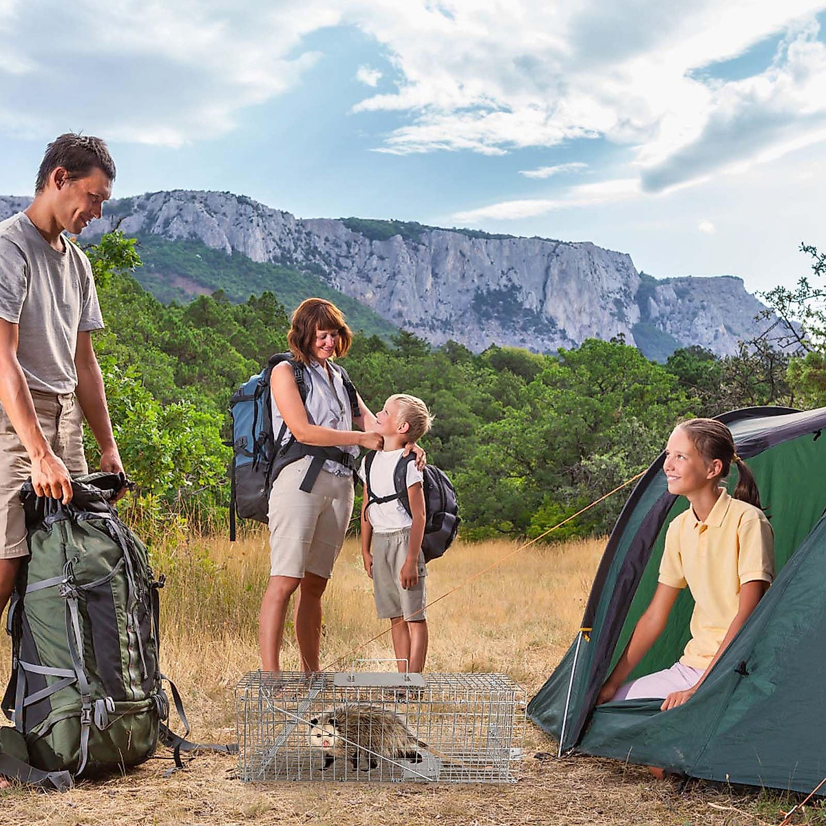 Live Animal Cage Trap, 23.3x7.2x7.7 Inches Humane Cat Trap for Stray Cats, Outdoor Heavy Duty Foldable Raccoon Traps, Humane Catch & Release Live Traps for Rabbits, Squirrels