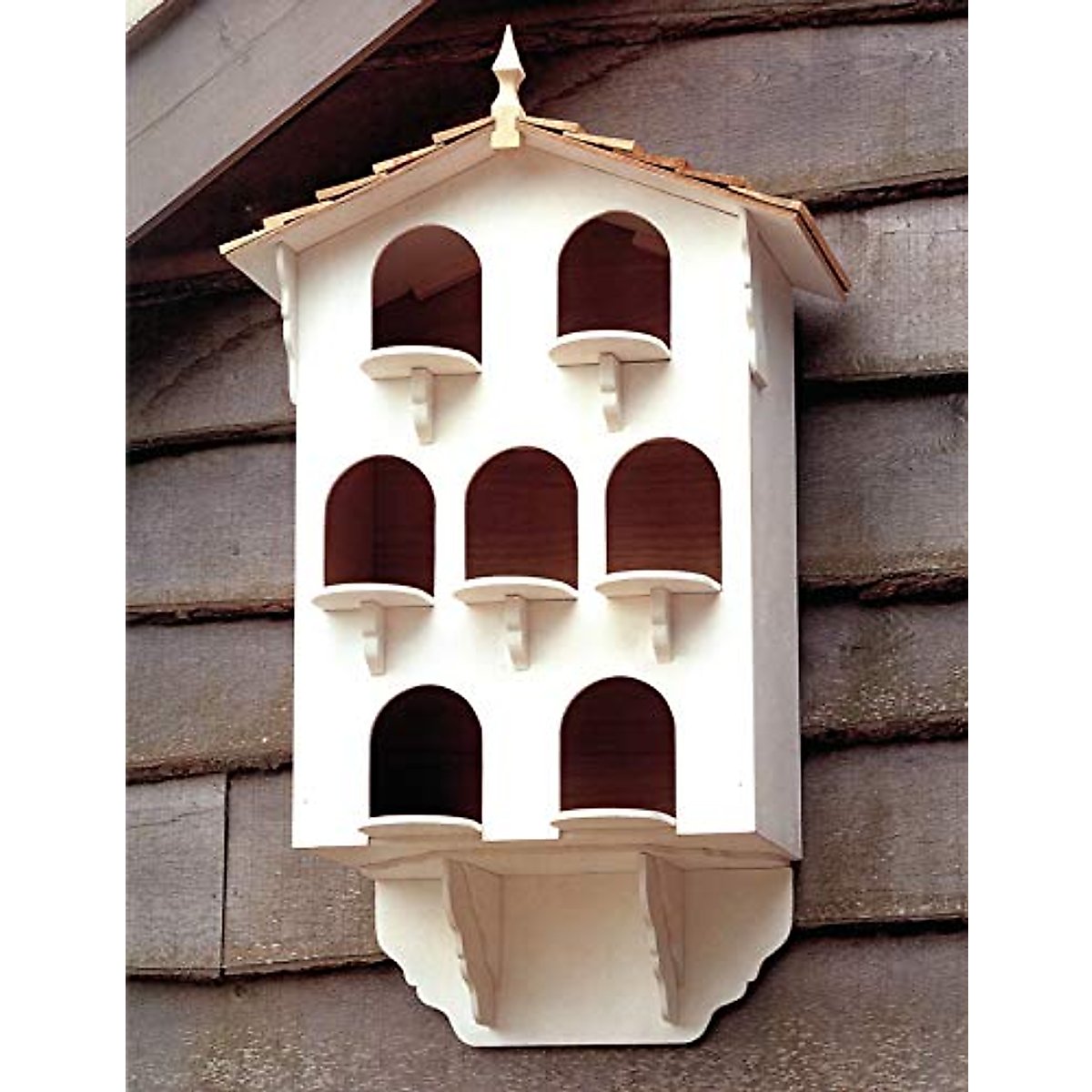 Birdhouses, Boxes & Feeders for the Backyard Hobbyist: 19 Fun-to-Build Projects for Attracting Birds to Your Backyard (Fox Chapel Publishing) Step-by-Step Suet Feeders, Nest Boxes, Bat Boxes, and More