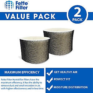 Fette Filter - HWF75 Replacement Wicking Filter Compatiable with Holmes Filter D HWF75 HWF75CS HWF75PDQ-U HF222 & Sunbeam Cool Mist Humidifier Models 3000 Series. Pack of 2