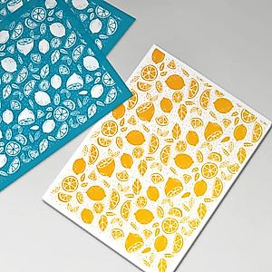 OLYCRAFT 4x5 Inch Silk Screen for Polymer Clay Lemon Pattern Silk Screen Printing Stencil Reusable Washable Clay Stencil Non-Adhesive Transfer Stencil for Polymer Clay Earring Jewelry Making