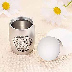 Small Urns for Dog Ashes 3 Inches Mini Pet Urn Aluminum Mini Keepsake Urn for Ashes Small Cremation Urn Ashes Holder for Dog Cat Ashes