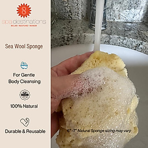 Natural Sea Wool Sponge 4-5" by Spa Destinations ® Amazing Natural Renewable Resource Creating The in Perfect Bath and Shower Experience