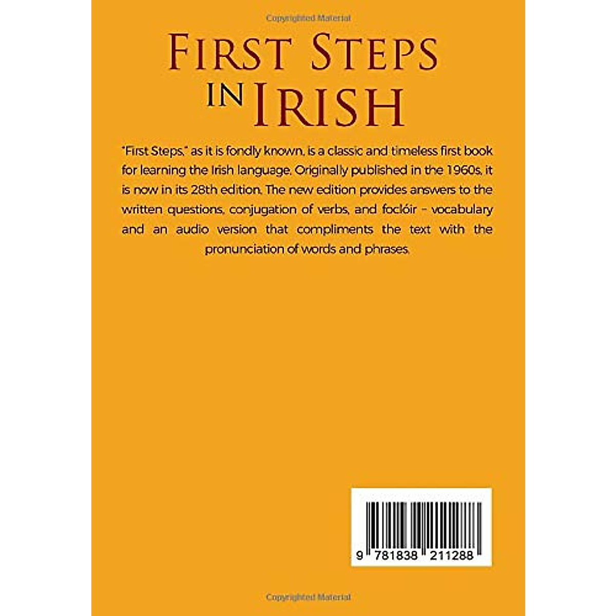 First Steps in Irish: A classic, succinct, book for learning to read, write and speak the Irish language
