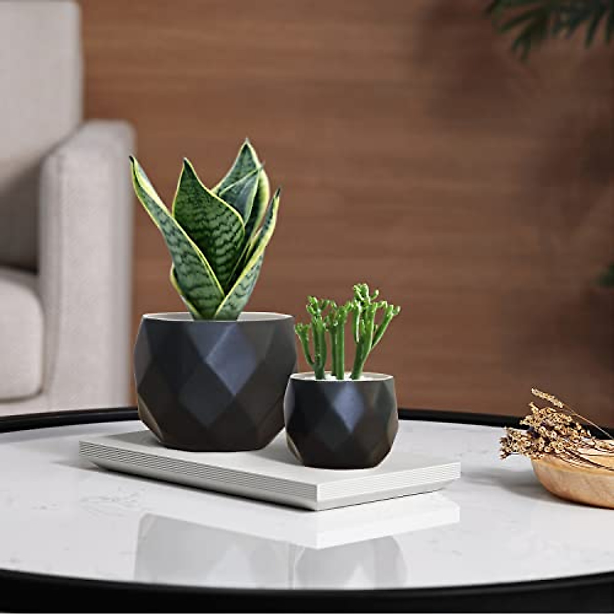 T4U Succulent Pots with Drainage Hole 3-Pack - Small Ceramic Succulent Planter for Tiny Cactus, Herb, Bonsai Plant, Mini Flower Pot for Indoor Home Office Living Room Decor (No Plants)