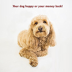 Majestic Pet Vertical Stripe Rectangle Dog Bed, Black, Medium