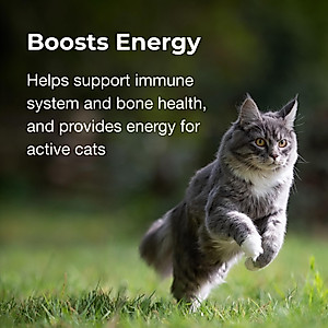 Pet-Ag Vitamin & Mineral Gel Supplement for Cats - 3.5 oz - Provides Basic Daily Vitamins & Minerals for Cats 4 Months and Older - Easy to Digest