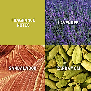 Curve for Men, Men's Deodorant Spray 6.0oz