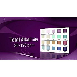 LEISURE TIME Spa Balance Spa Down pH Decreaser (30431A) (3-Pack (2.5 lbs))