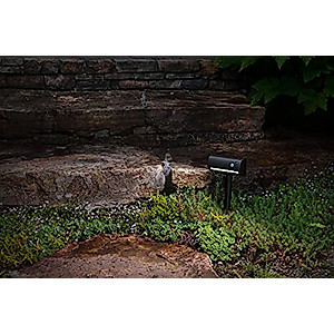 LIGHT IT! By Fulcrum, 20033-107 LED Garden and Path Light, Bronze, Single pack