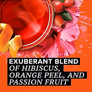 TAZO Iced Tea Bags, Passion Herbal Tea, Caffeine Free, 20 Tea Bags (Pack of 6)