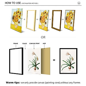 Anatomy Posters for Medical Study - Vibrant and Durable
