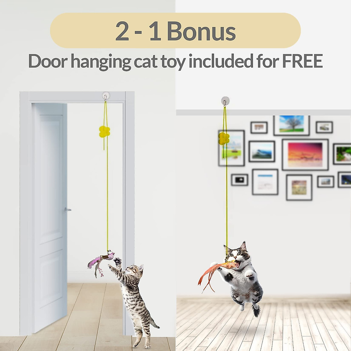 Felicity Suction Cup Cat Toy, 2 in 1 Interactive Bird Toy for Cats - 2 Strong Suction Cups, 9 Cat Feather Toys, 2 Durable Cat Wands, 1 Hanging Cat Toy - Interactive Cats Toys for Indoor Cats