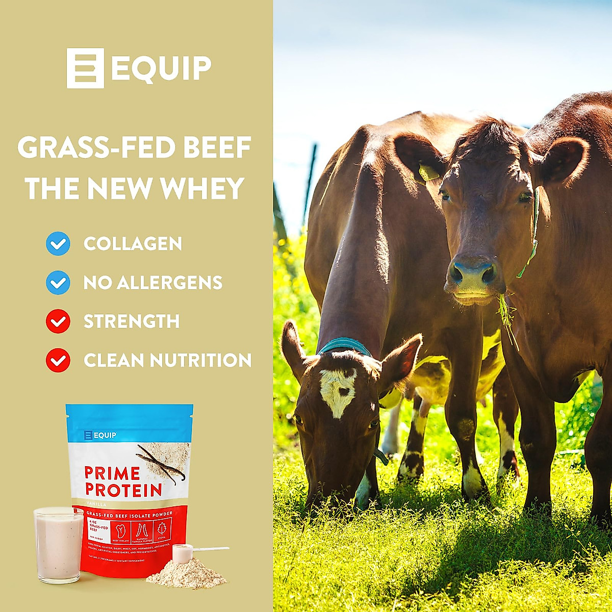 Equip Foods Prime Protein - Grass Fed Beef Protein Powder Isolate - Gluten Free Carnivore Protein Powder - Vanilla, 1.67 Pounds - Helps Build and Repair Tissue
