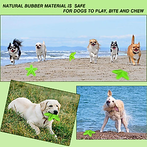 IDOLPET Dog Chew Toys Squeaky Dog Toys Dog Water Floating Toys Starfish Natural Tooth Brush Teeth Cleaning Toy for Small Medium Dog (Green)