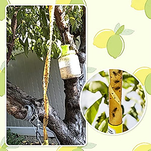 20 Pack Fly Strips, Sticky Fly Trap Indoor/Outdoor Hanging, Fly Ribbon Tape Paper, Gnat Killer Traps Catcher for Fruit Flies, Bug, Insect, Pest, Mosquito