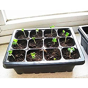 12 Holes Plastic Nursery Pot Grow Container Sprout Plate with Transparent Lids for Gardening Flower Cultivation Planting Containers 5Pcs (Black)