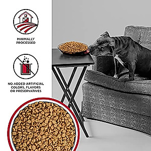 BIXBI Liberty Grain Free Dry Dog Food, Beef, 4 lbs - Fresh Meat, No Meat Meal, No Fillers - Gently Steamed & Cooked - No Soy, Corn, Rice or Wheat for Easy Digestion - USA Made