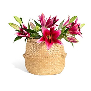 Yes4All Woven Seagrass Plant Basket, Handwoven Belly Basket For Plants, Wicker Planter Basket, Foldable Seagrass Belly Basket for Storage, Large Plant Baskets Indoor (Large Size 13.4 inches)