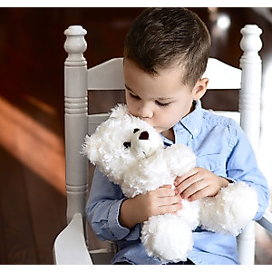 Cuddly Children's Sympathy Gift for Grieving Child, Stuffed Animal Angel Bear Plush with Gift Bag and Card for Memorial Funeral Present, Comfort Children for Loss of Loved One