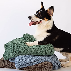 Under the Canopy - Chunky Knit Organic Throw (50x60) - Extra Warm, Knitted Texture Blanket - Ivory