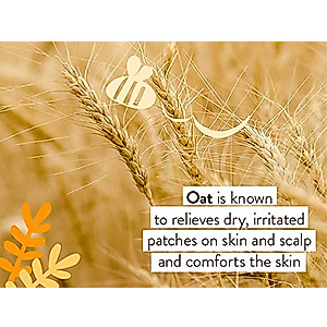 Babo Botanicals Sensitive Baby Fragrance-Free 2-in-1 Bubble Bath & Wash - Shea Butter, Calendula & Oat - Vegan - EWG Verified - For Babies & Kids