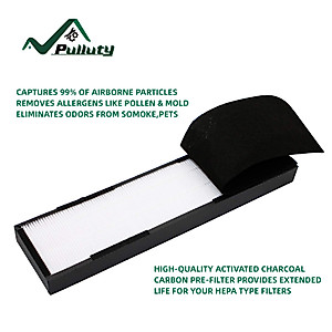 Pulluty FLT5000 Filter-C True Hepa Replacement Filter Compatible with Germ Guardian AC5000 Series Air Purifier AC5000E AC5250PT AC5300B AC5350W AC5350B CDAP5500 and Ldlyis Model IAP-GG-125, 2 Pack