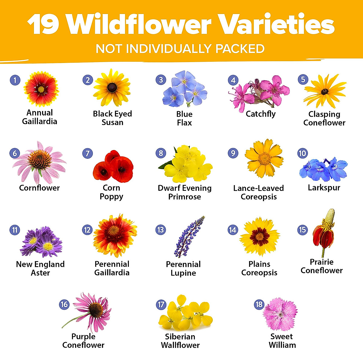 HOME GROWN Midwest Wildflower Seeds Mix 4oz | 65,000 Non-GMO, USA Sourced, High Germination Rate | Heirloom Pollinator Flowers Seed Mix | Wild Flower Seeds Bulk | Covers 500 sq. ft.