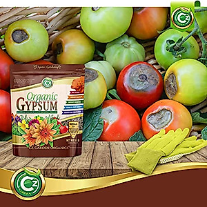 Organic Gypsum - Made in USA - Calcium Sulfate Dihydrate Granules - Garden Soil Amendment Fertilizer for Lawns, Plants, Calcium & Sulfur Additive. Cures Blossom End Rot in Tomatoes & Peppers