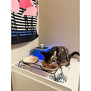 PAWLAND Cat Litter Box Enclosure, Cat House Side Table,Night Stand Pet House, Indoor Cat House, White