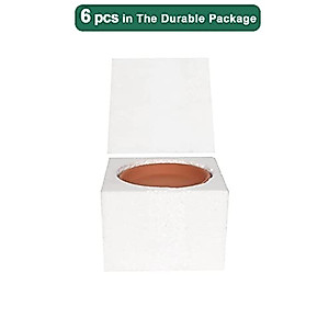 4 Inch Small Terracotta Pot Plant Saucer - 6 pcs Small Round Plant Pot Saucers, Small Clay Plant Trays Perfect for 3 Inch 3.5 Inch 4 Inch Flower Pot with Drainage Hole and Great for Indoor or Outdoor