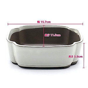 Bonsai Tree Pot Ceramic Mokko (Quince) Cut Off Shaped Glazed (6.4", Cream-Yu)