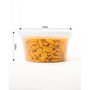EDI [12 OZ, 250 Sets] Wholesale Plastic Deli Food Storage Containers with Airtight Lids | Microwave-, Freezer-, Dishwasher-Safe | BPA Free | Heavy-Duty | Meal Prep | Leakproof | Recyclable