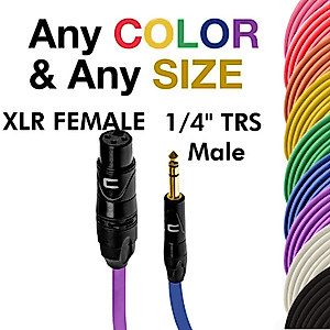 Balanced XLR Cable Female to 1/4" TRS Male - 100 Feet Blue - Pro 3-Pin Microphone Connector for Powered Speakers, Audio Interface or Mixer for Live Performance & Recording