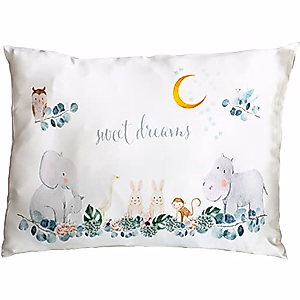 Silky Tales - Toddler Pillowcase 100% Silk - Kids Pillow Cover 13x18 (White with Light Pink and Blue)