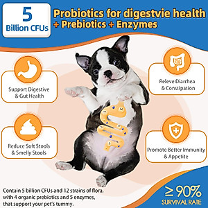 Probiotics for Dogs Digestive Health with Dog Multivitamin Powder
