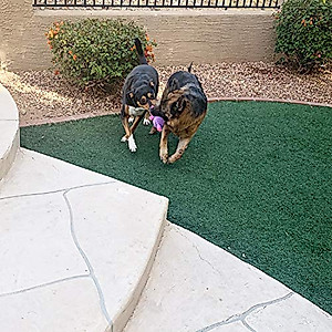 Jalousie 5 Pack Dog Toys Dog Plush Toys Assortment Value Bundle Dog Squeaky Toys Assortment Puppy Pet Mutt Dog Toy Dog Squeak Toy for Medium Large Dogs