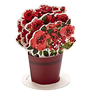Hallmark Paper Wonder Pop Up Valentines Day Card, Displayable Bouquet (Today, Tomorrow, Always)