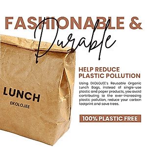 EKOLOJEE Insulated Paper Reusable Lunch Bag | Insulated Durable For Cold And Hot Food And Snacks | Insulated Canvas Lunch Bags, Brown Paper Bag | Classic Worthbuy Lunch Bag For Men & Women