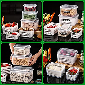 Pack of 4 Fruit Fresh Produce Protector, Grape Container for Fridge, Fruit Saver Lettuce Container with Drain Colanders, Partitioned Salad Container, Refrigerator Organizer for Lettuce Berry Food (4)